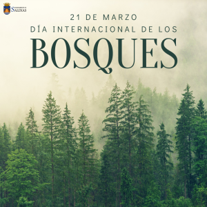 Día Internacional de los Bosques | Ayuntamiento de Salinas